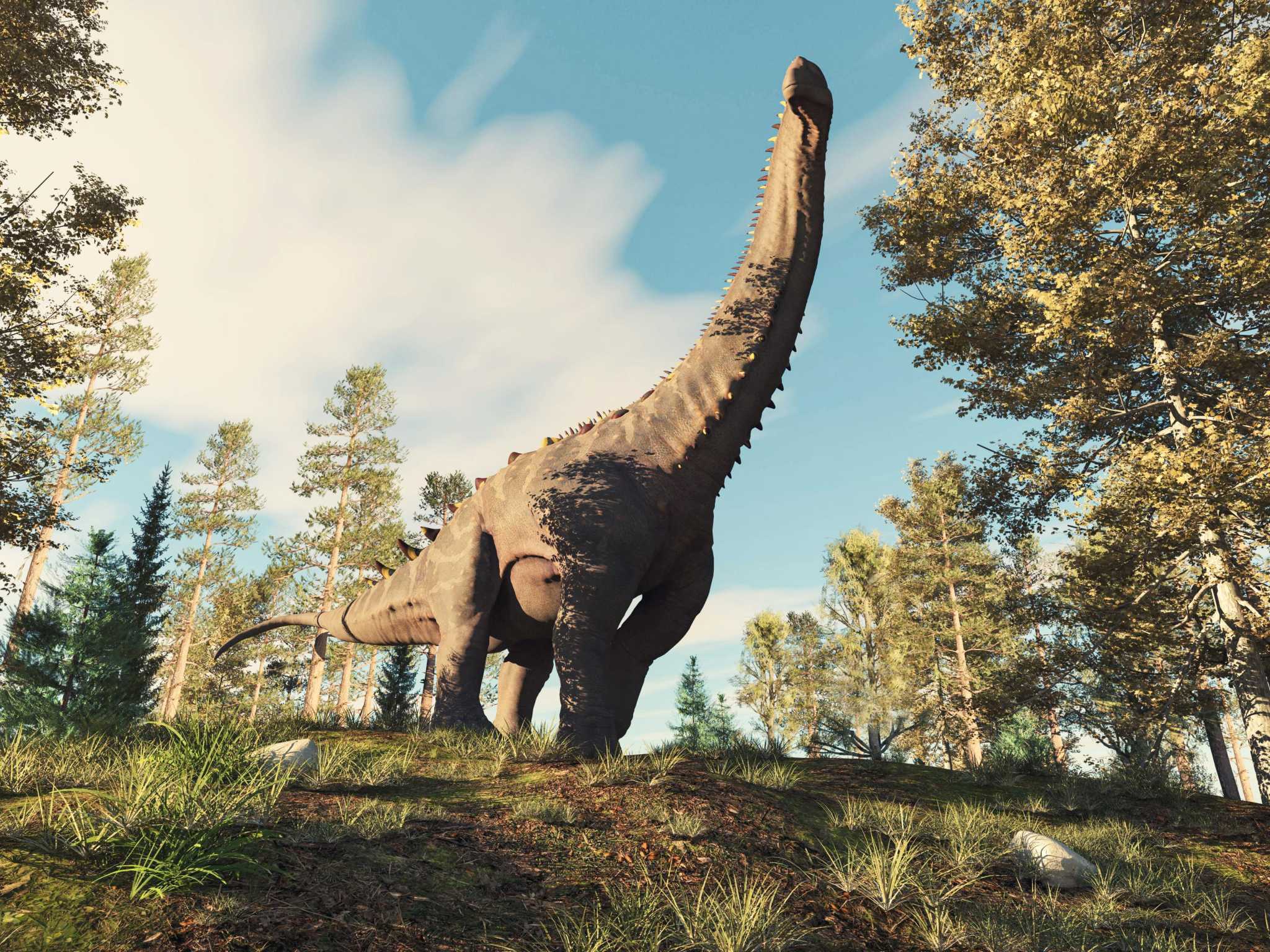 Alamosaurus Paleontology Records | Shapes