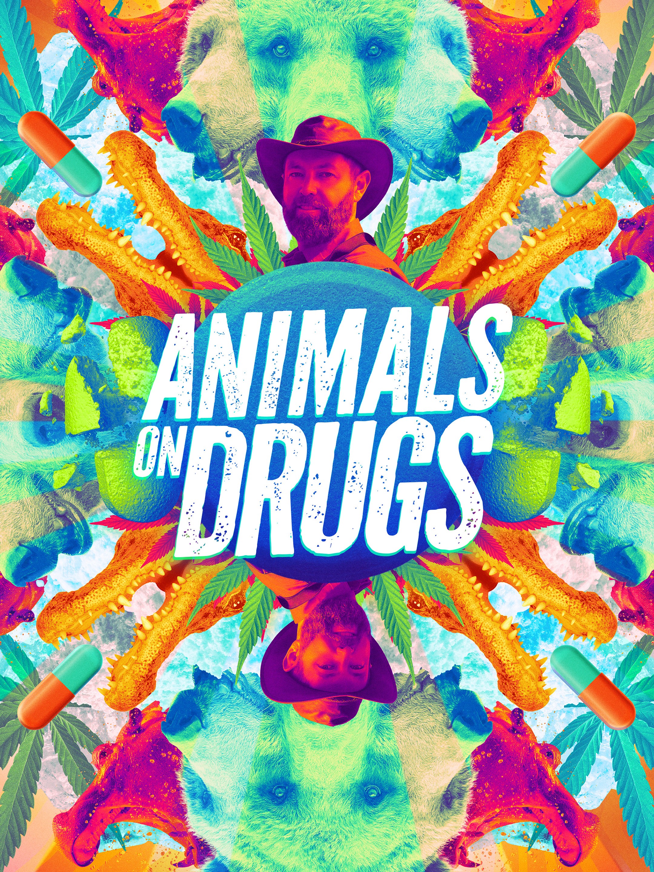 Animals on Drugs Featured Wildlife | Shapes