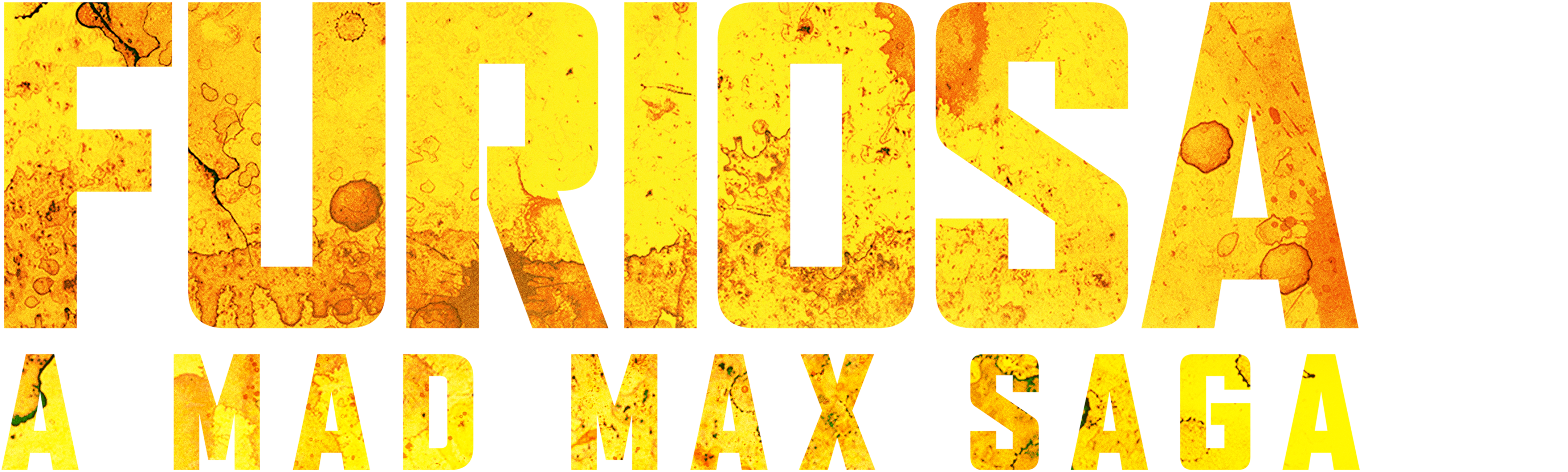 Furiosa: A Mad Max Saga Vehicles & War Rigs | Shapes