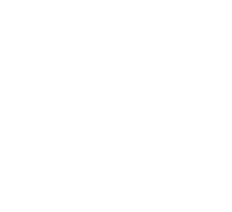 Salish & Jordan Matter Ships — Complete Shipping Guide & Analysis | Shapes