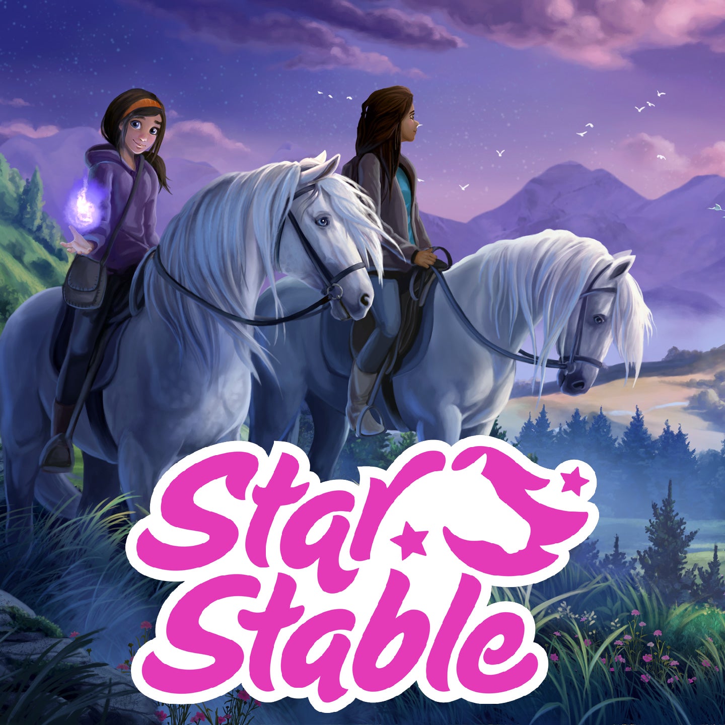 Star Stable Horse Breeds | Shapes