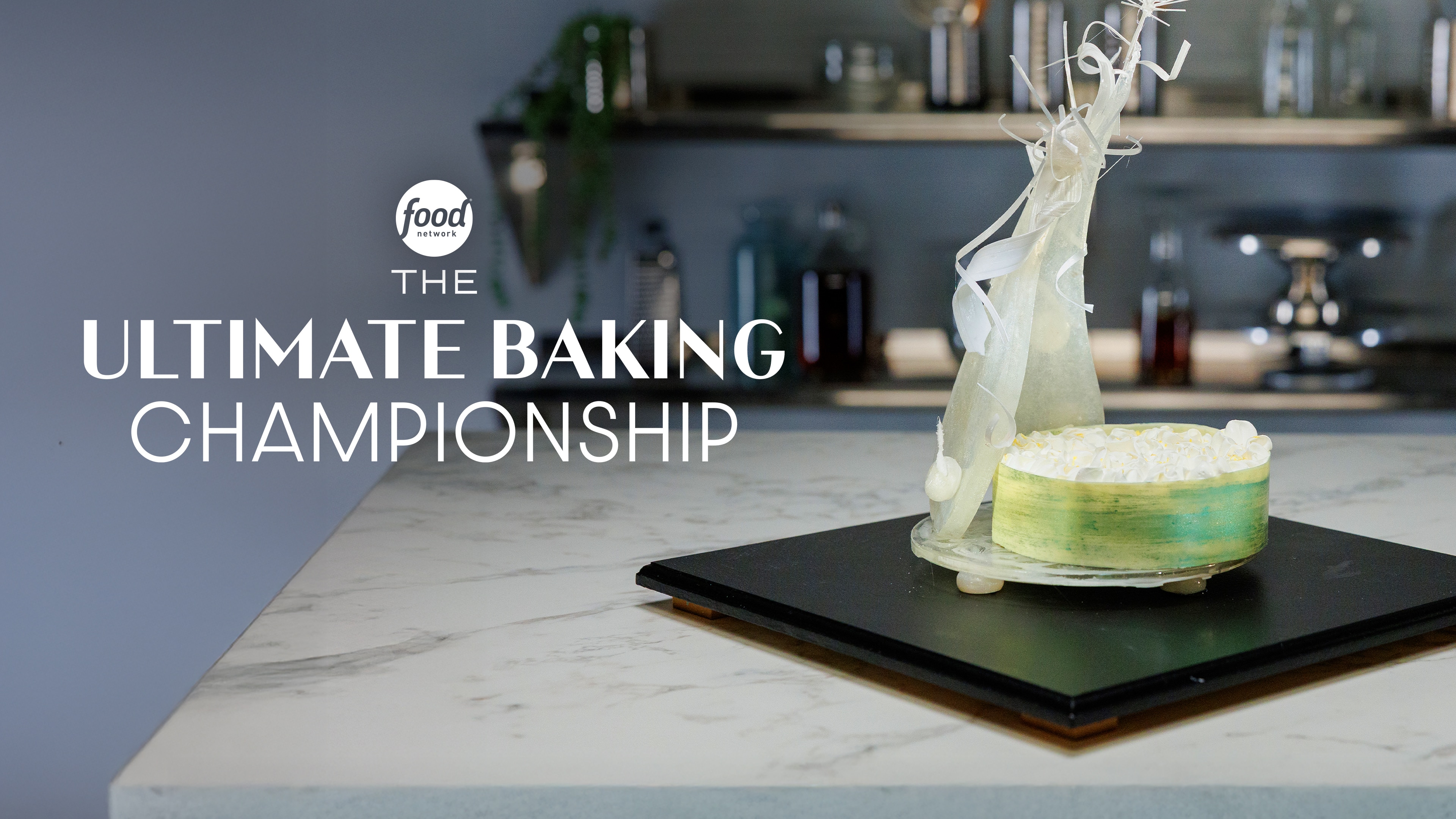 The Ultimate Baking Championship Timeline — Complete Chronology | Shapes